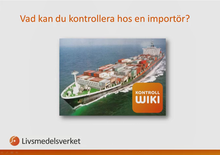 Vilken kontroll kan utföras efter gränskontrollen? - Kontrollwiki